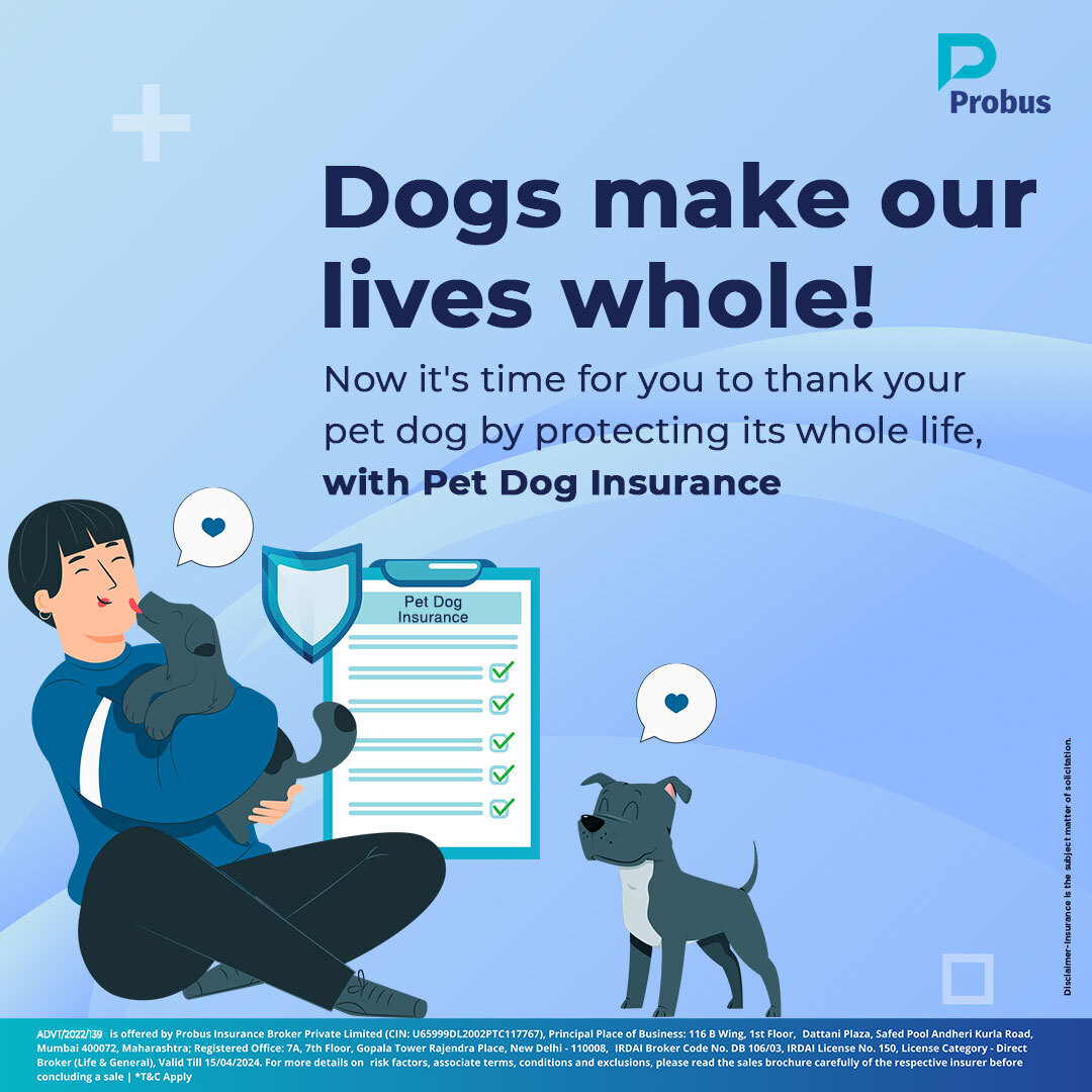 Can You Get Dog Insurance