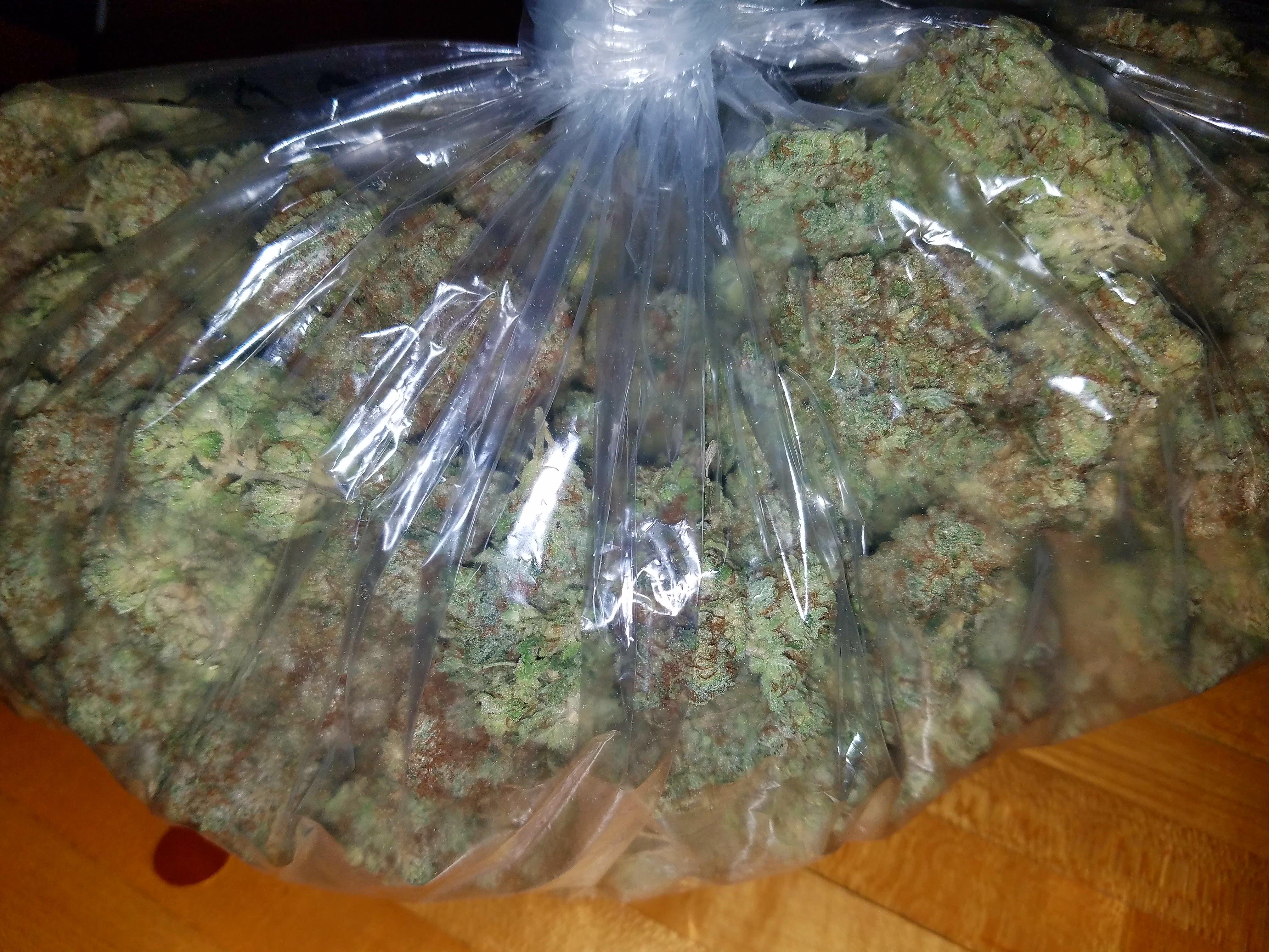 Scott LaCroix (@ScottLaCroix4) / Twitter