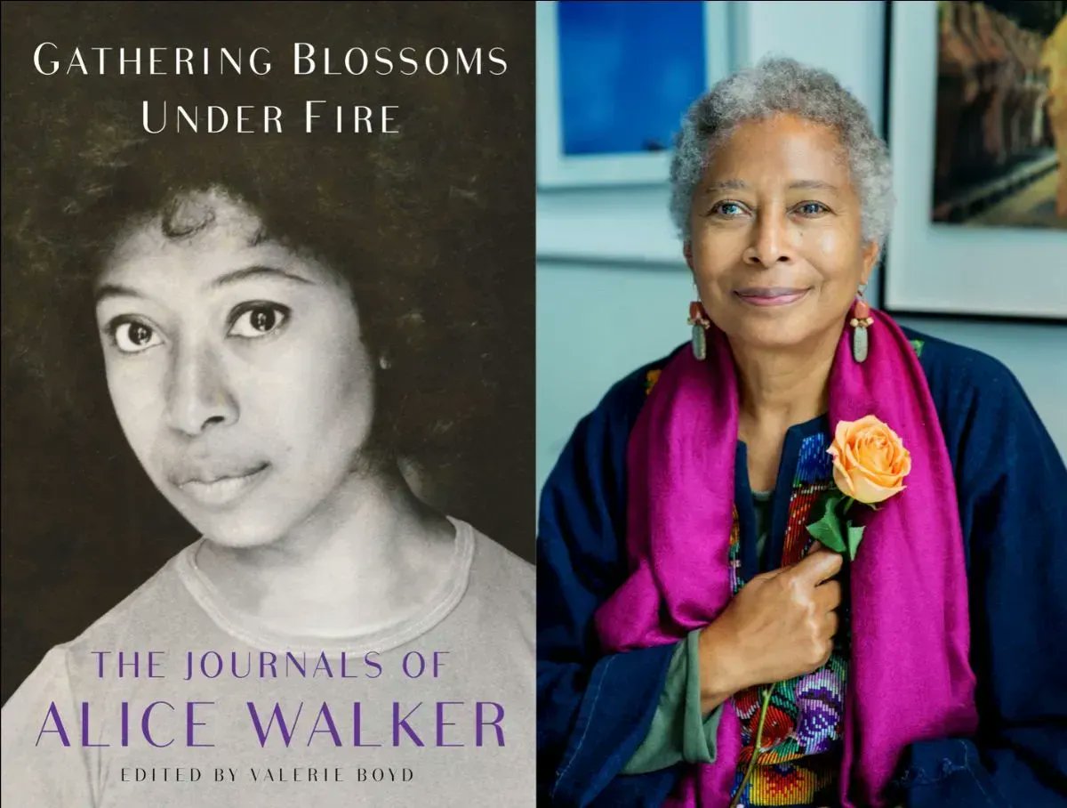 Alice Walker Eye