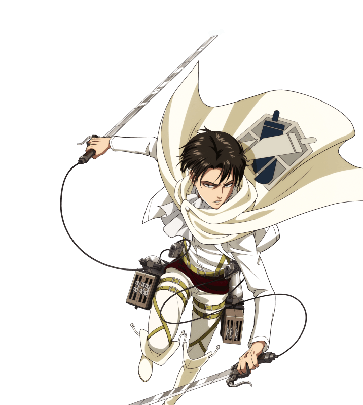 Transparent Levi Cleaning