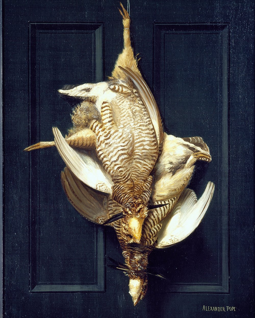 Alexander Pope Paintings