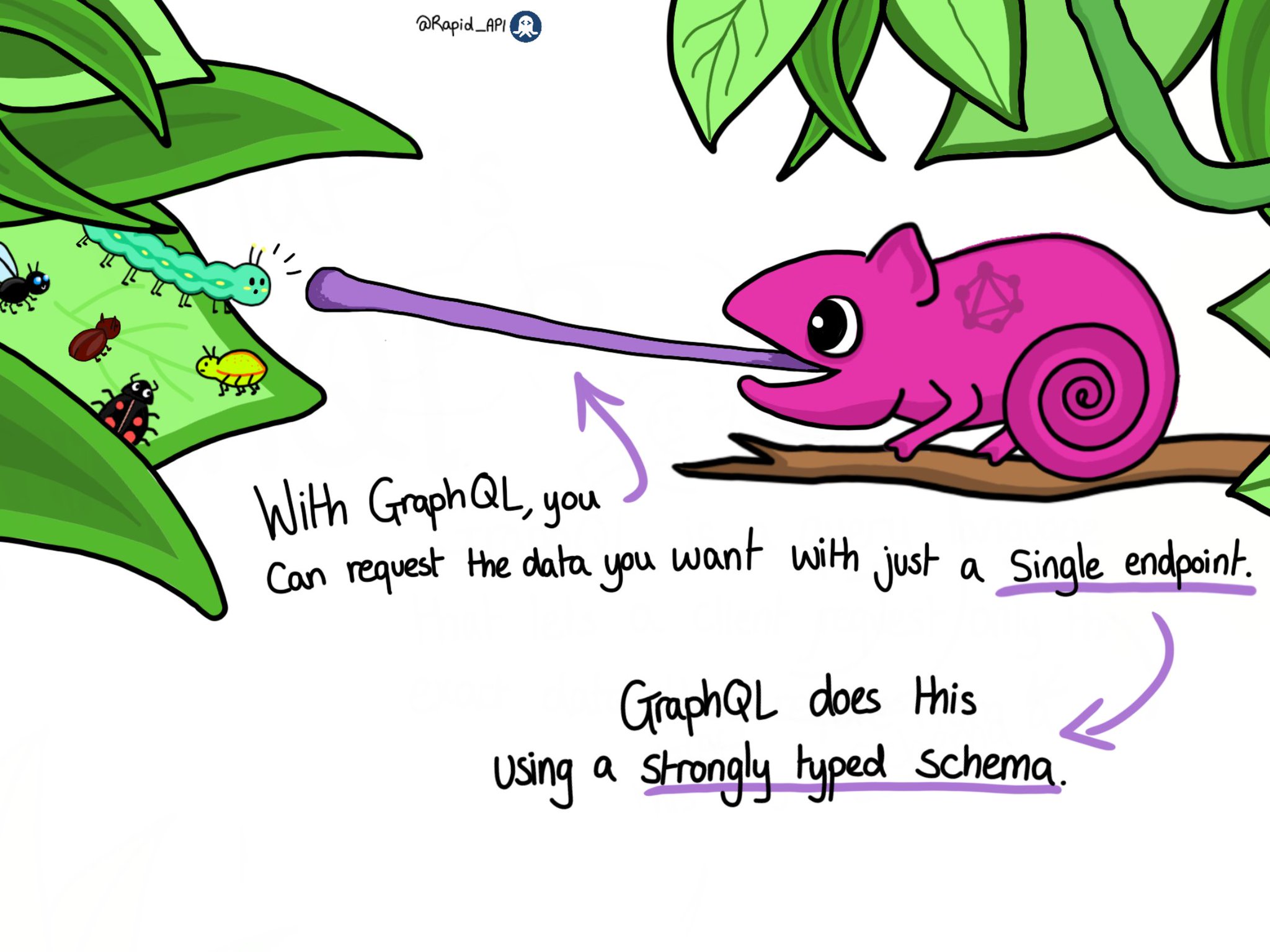 RapidAPI on Twitter: "{ 3 / 7 } https://t.co/oIyZSQrNmw" / Twitter