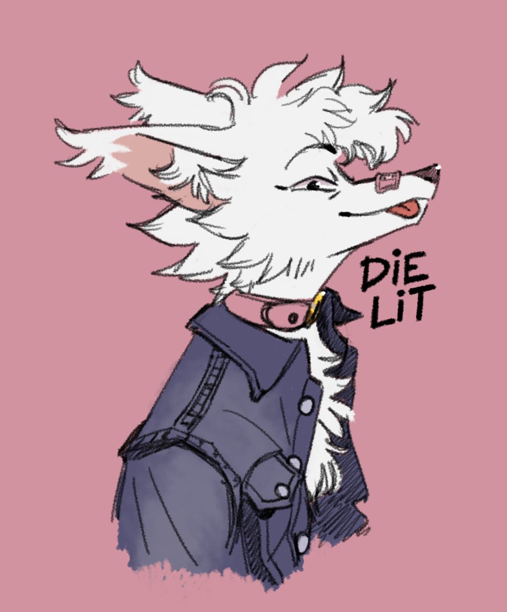 what Does die Lit Mean Expire With Th Zennie what-does-die-lit-mean-expire-with-th-zennie
