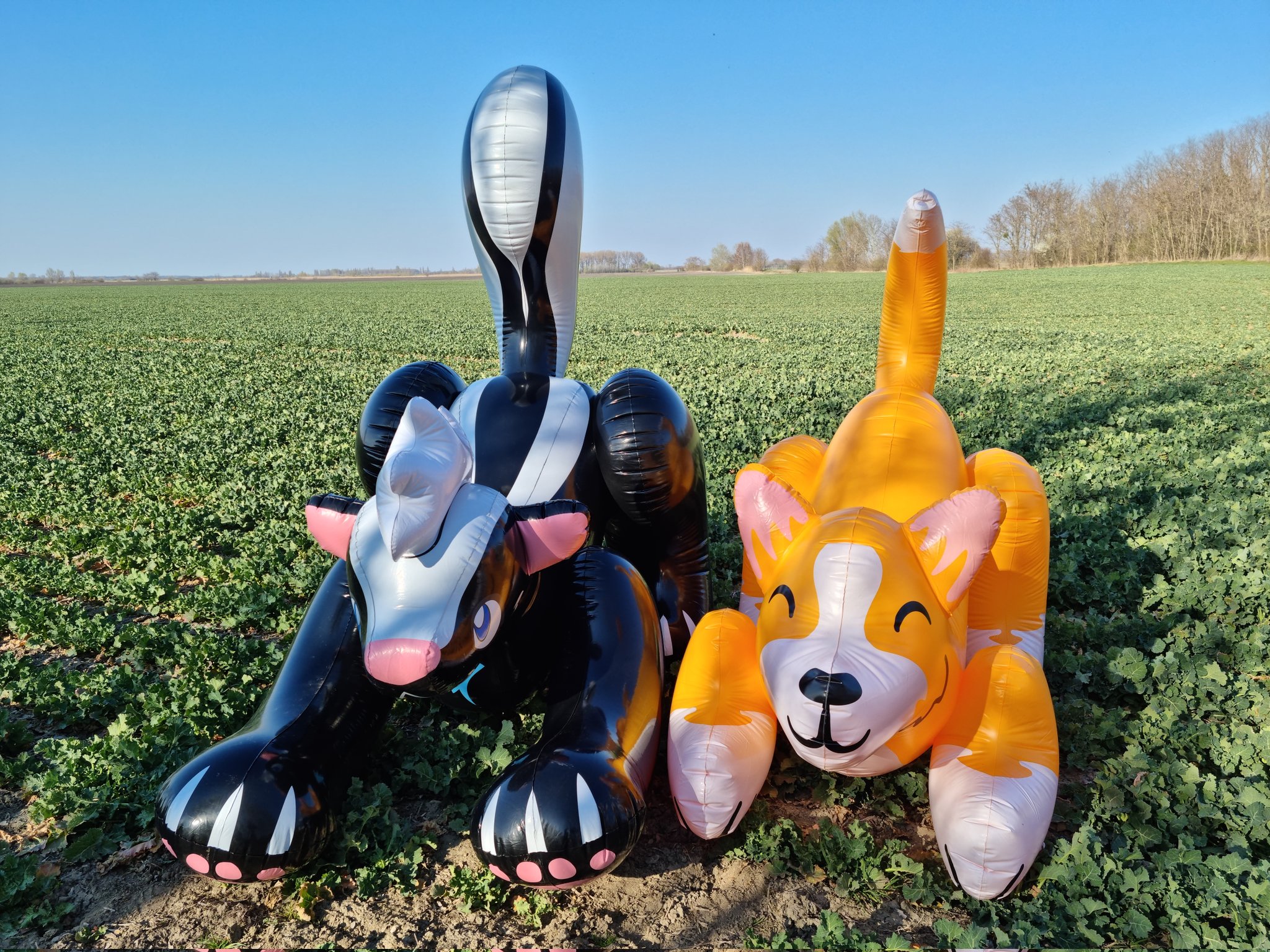 CMOSSettingsWrong On Twitter: "It's #SqueakySaturday Again? What If ...