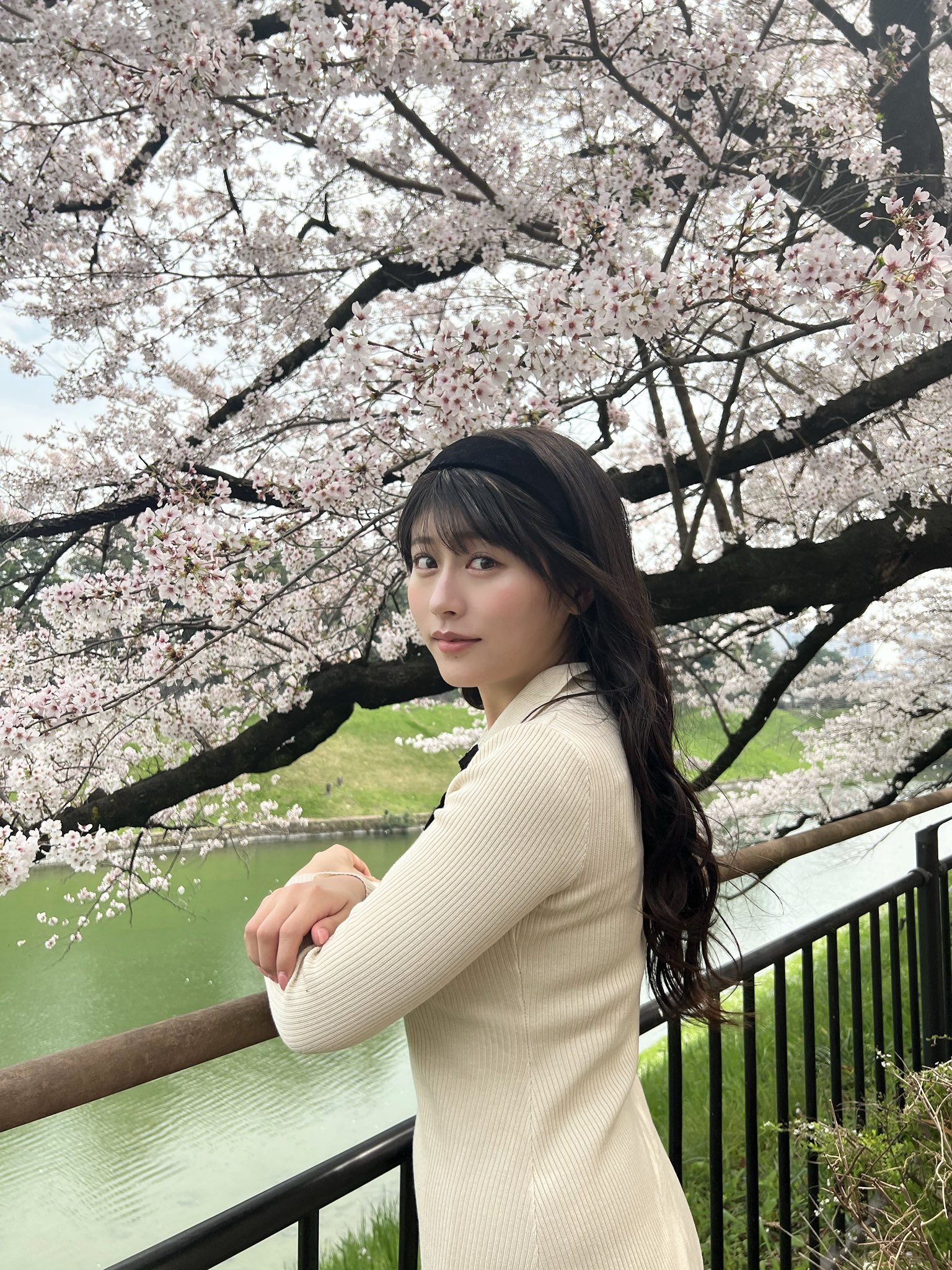 ちとせ よしの (@chitose_yoshino) / Twitter