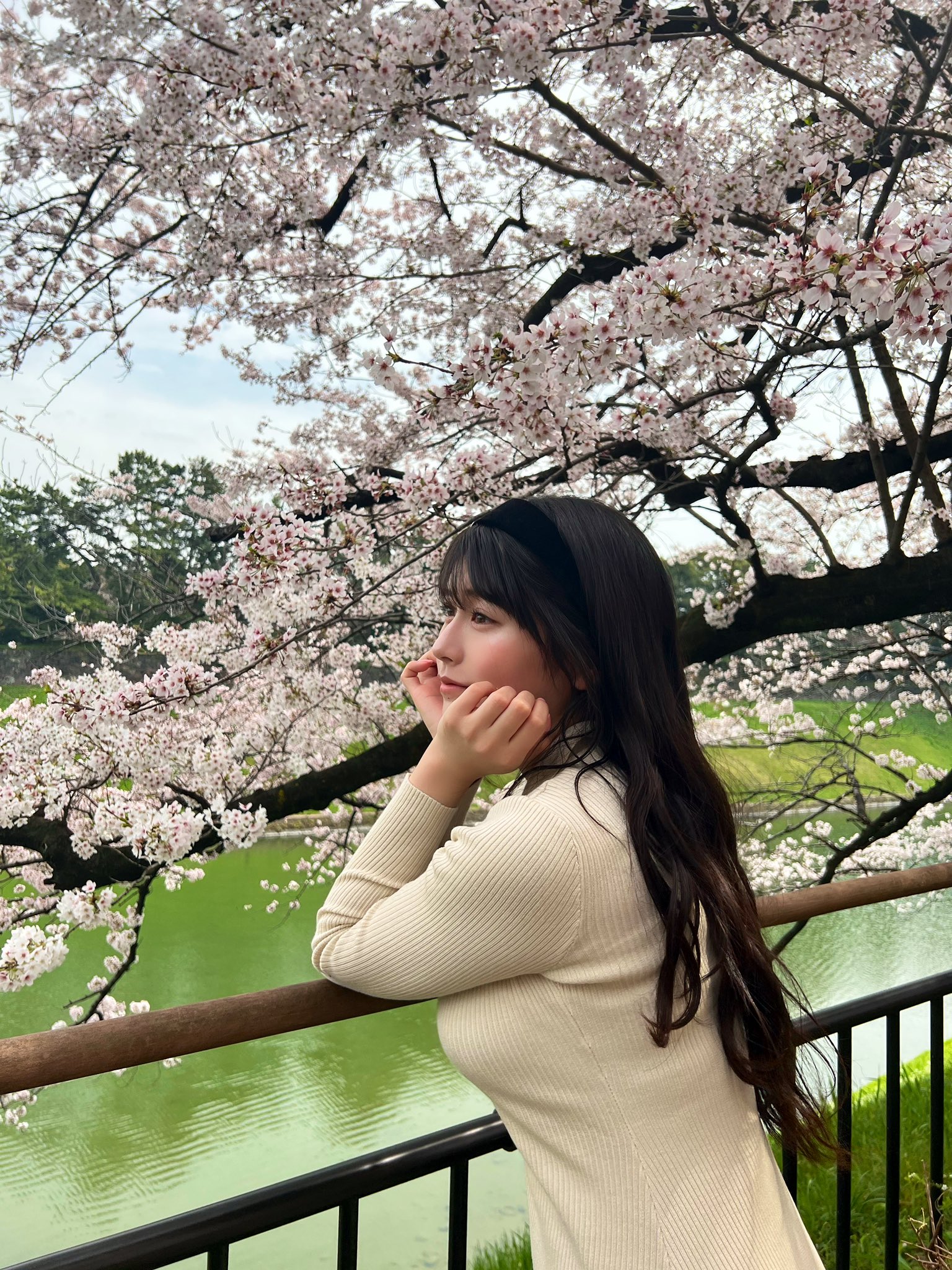 ちとせ よしの (@chitose_yoshino) / Twitter