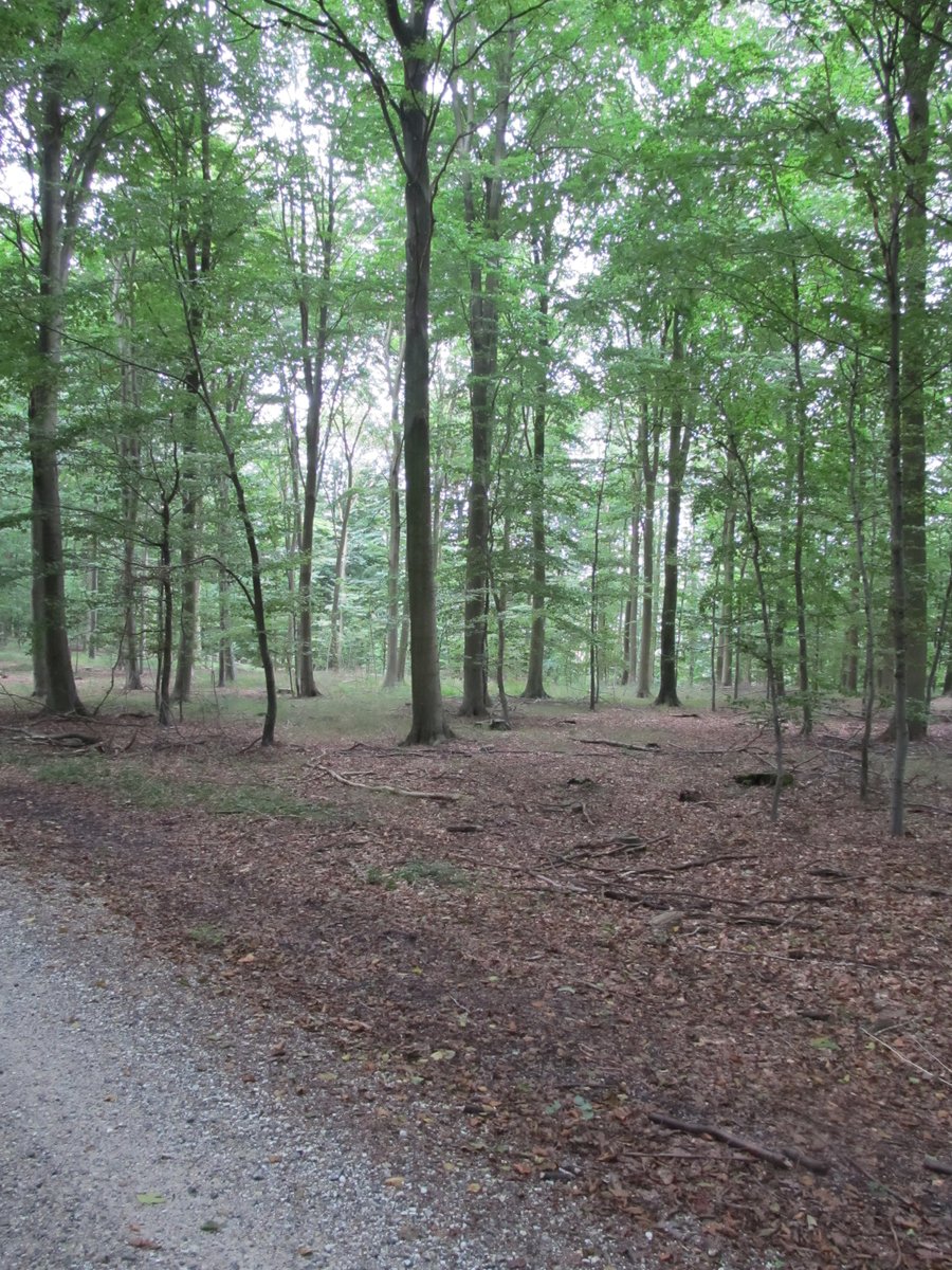 Thread by @ejrn_s on Thread Reader App – Thread Reader App