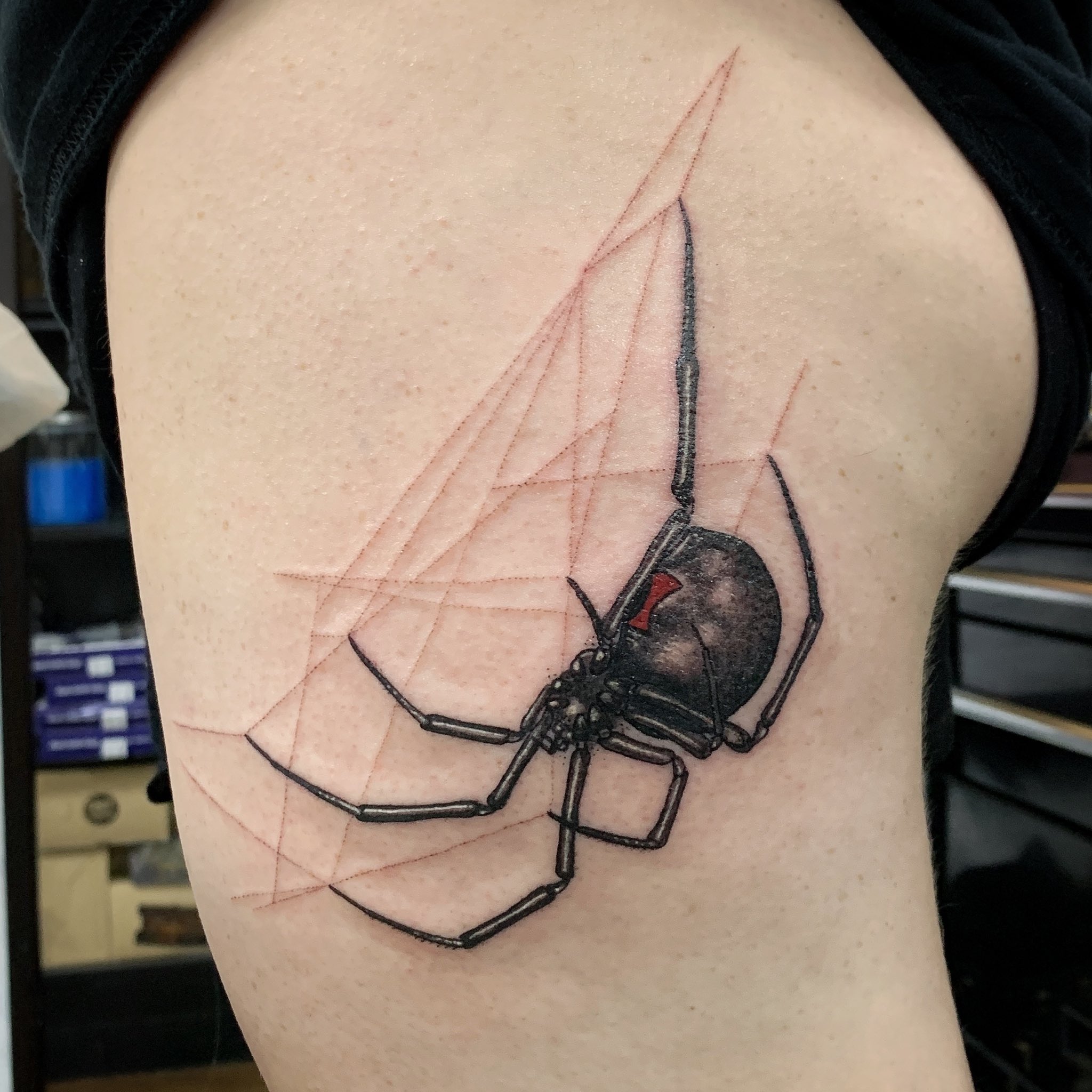 Traditional Black Widow Tattoo New Traditional Spider Tattoo Ideas For