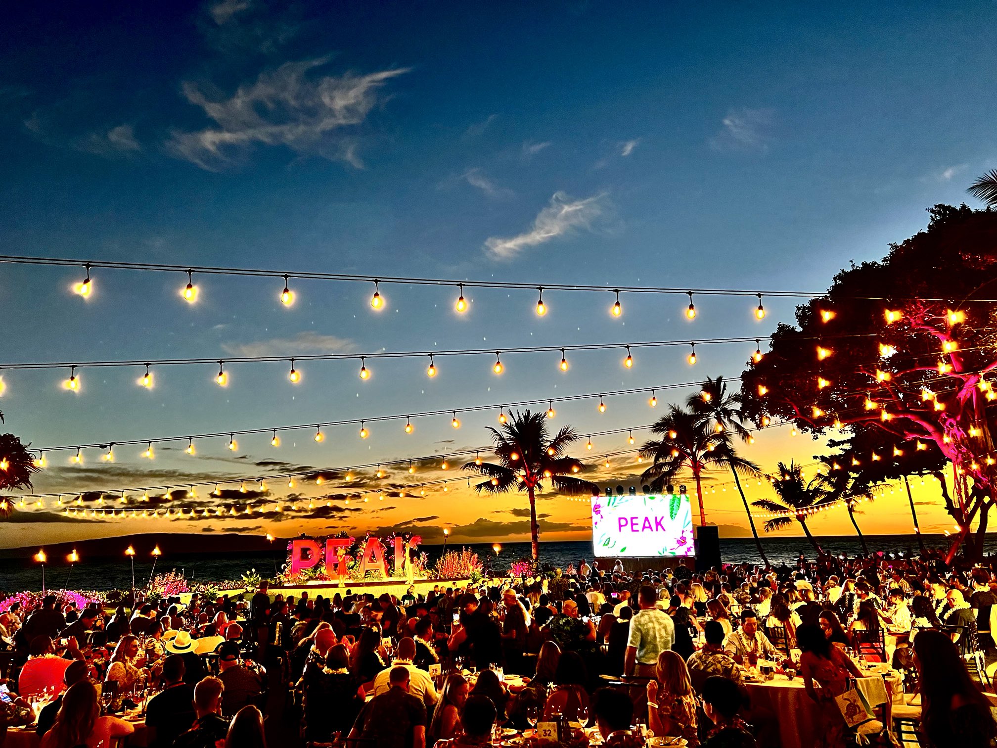 Hawaii Beach Party Night