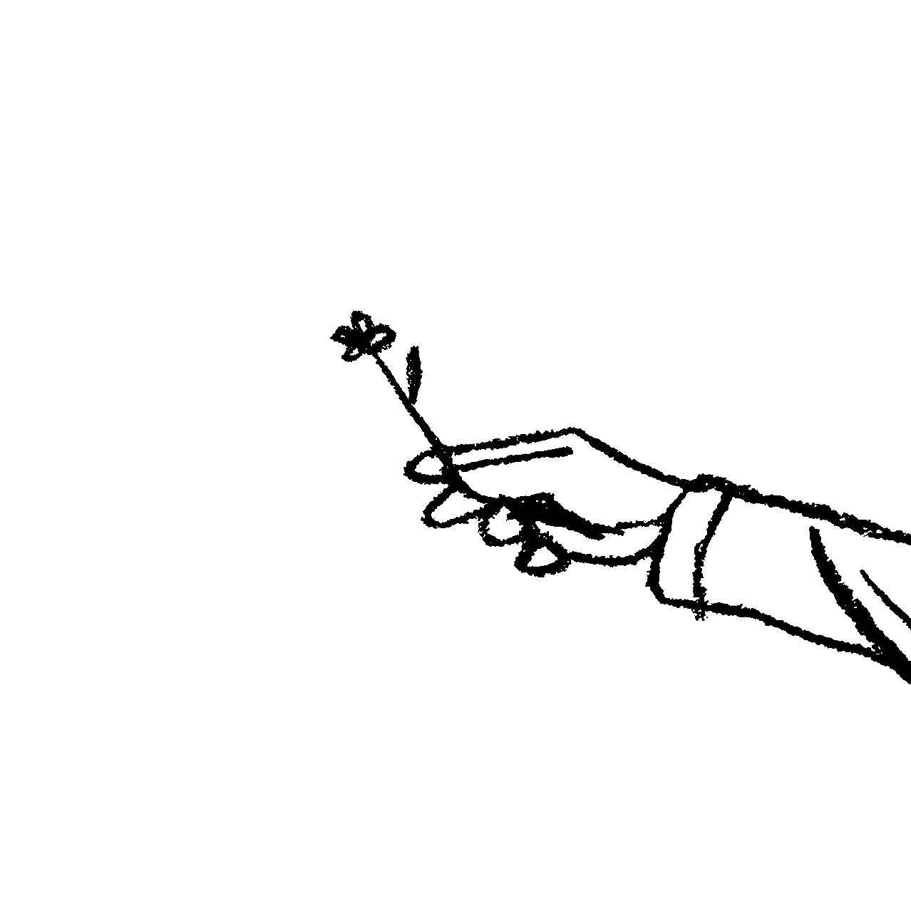 koki tsubomoto | 坪本幸樹 (@koki_tsubomoto) / Twitter