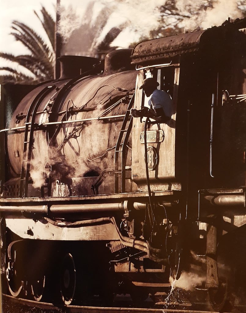 1. Zimbabwe had a working public transport system that was well ...