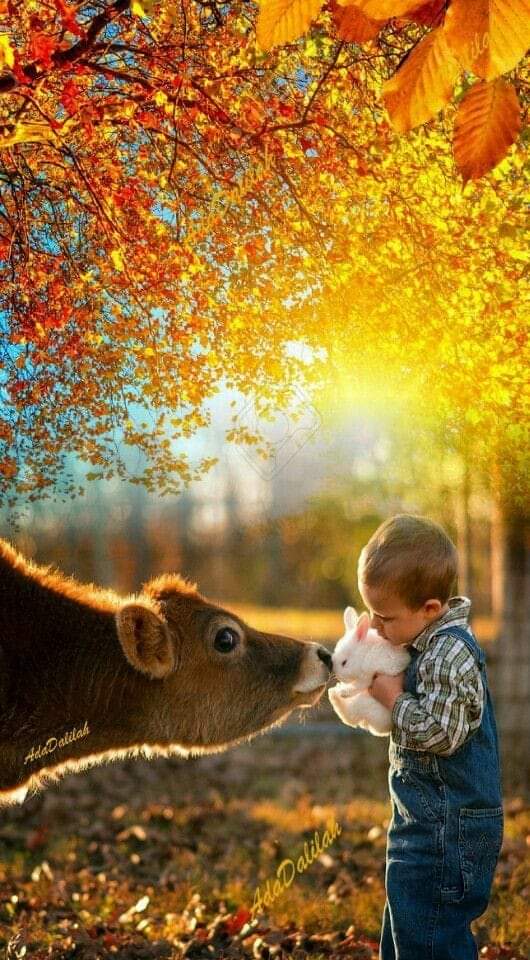 sanjiv gilhotra on Twitter: "@kshitiz_m https://t.co/8urQcTL3ff" / Twitter