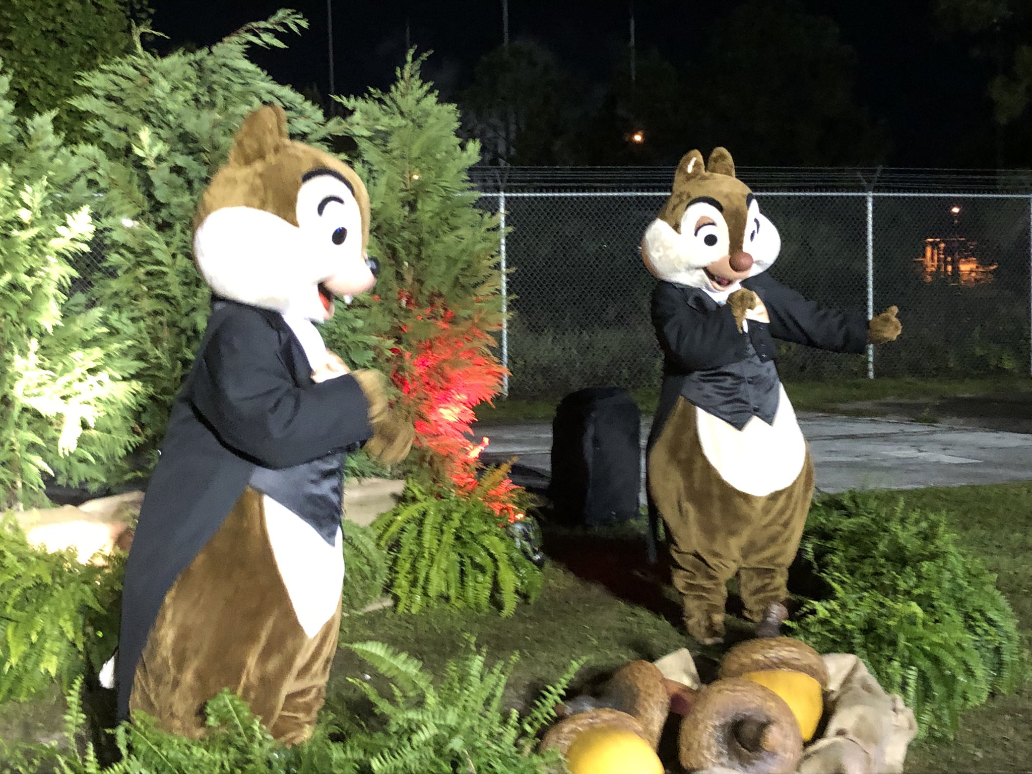 Chip And Dale Disney Characters