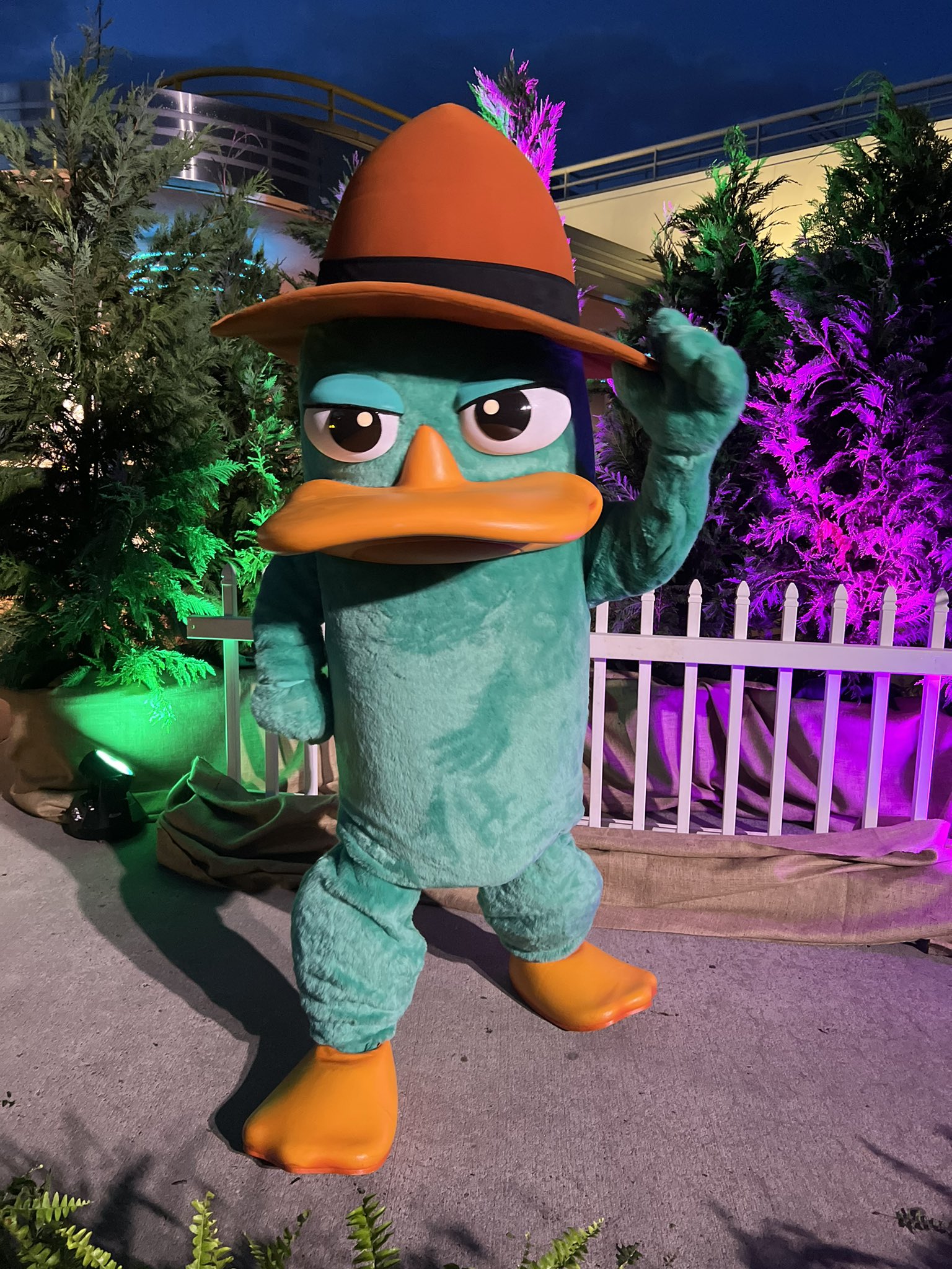 Perry The Platypus Cosplay
