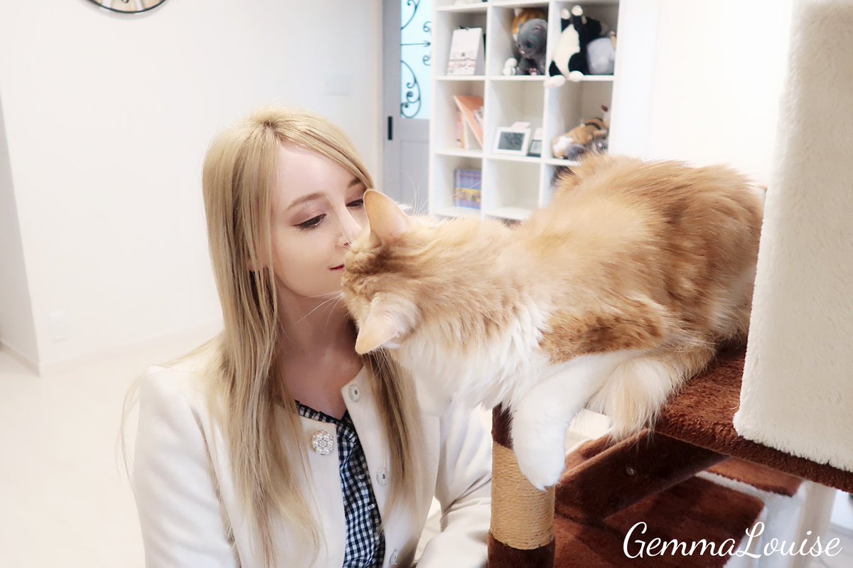 ねこちゅー🐈 ジェマ・ルイーズ💙💛Gemma Louise @gemma_tokyo