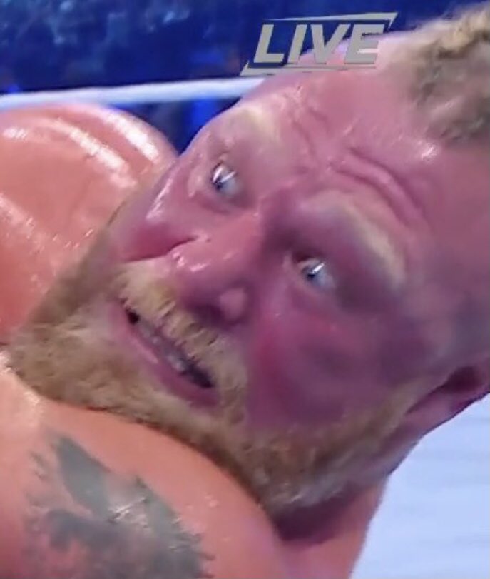 Brock Face Memes 25 Memes That Show WWE Makes No Sense