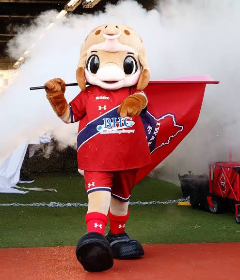 Iwaki FC’s new mascot, a Futabasaurus dinosaur who just woke up after ...