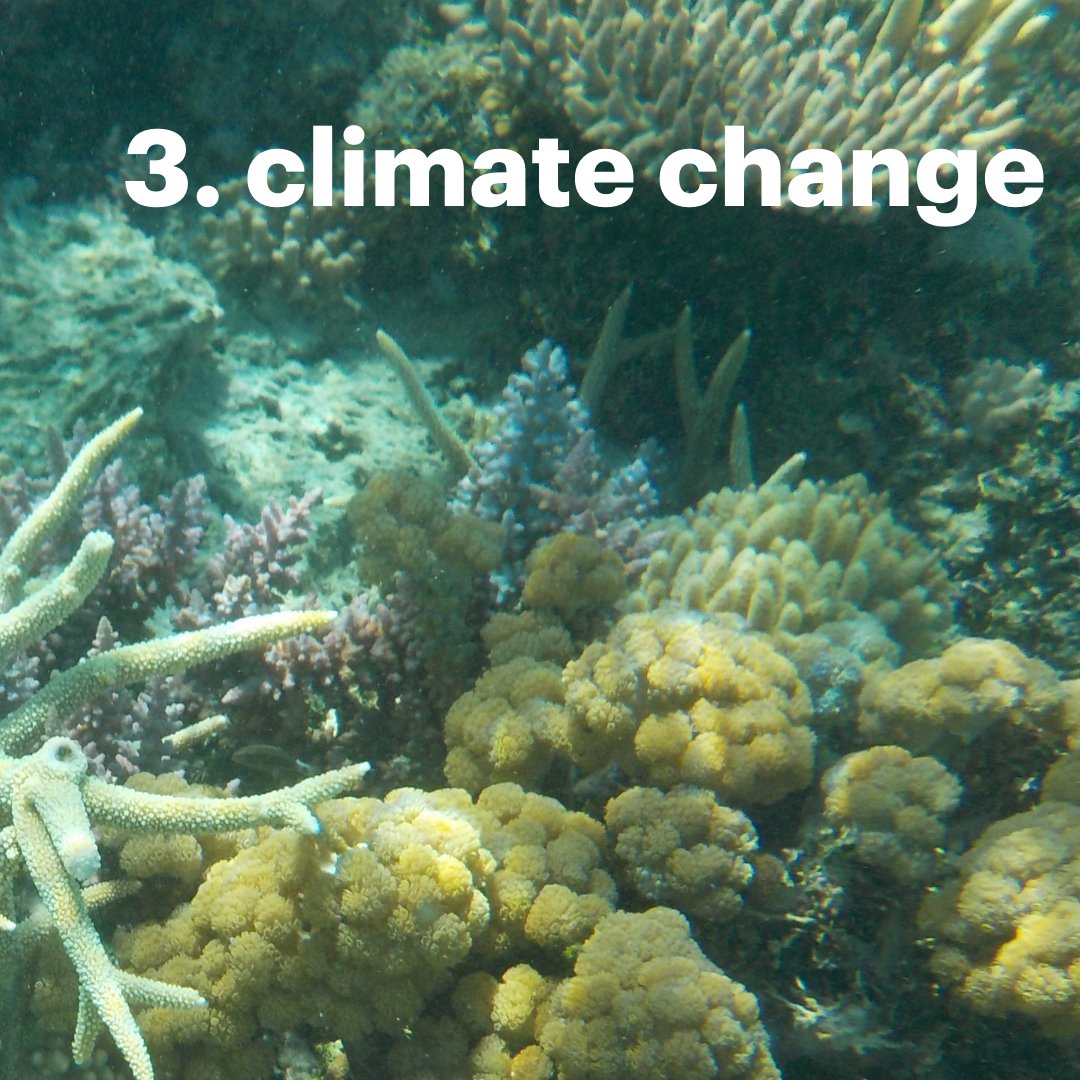 ifaw on Twitter: "3. Climate change: Increasing global temperatures ...