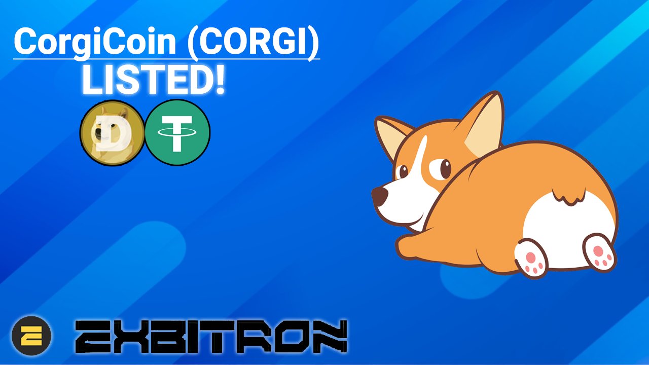 Captain Corgi (@CorgiCapt) / Twitter