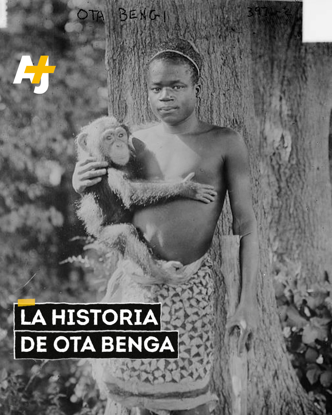 AJ+Español on Twitter: "Al zoológico del Bronx le tomó 114 años reconocer el crimen racista ...