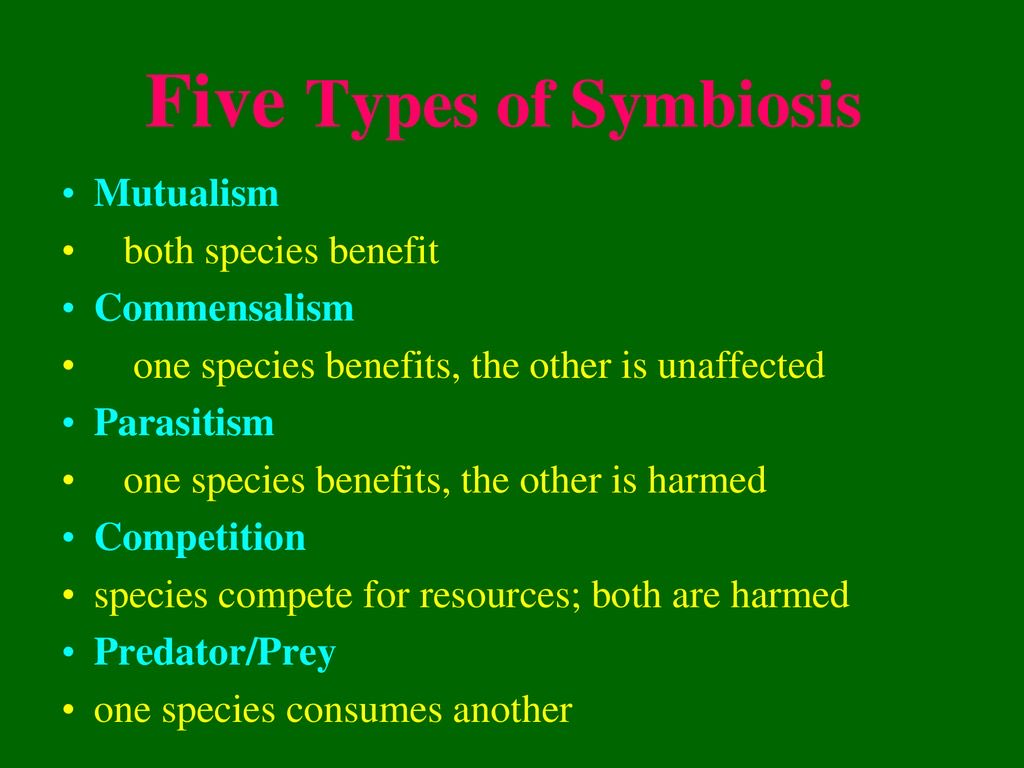 “There are a few ways to approach this but, some sort of interface ...