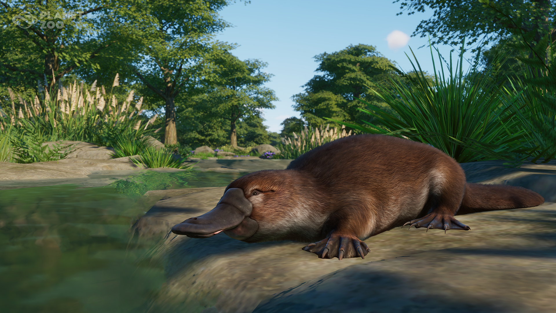 Planet Zoo on Twitter: "Despite making a name for themselves in popular culture for their hat ...