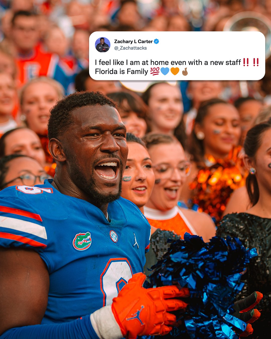 Florida Gator Football Memes
