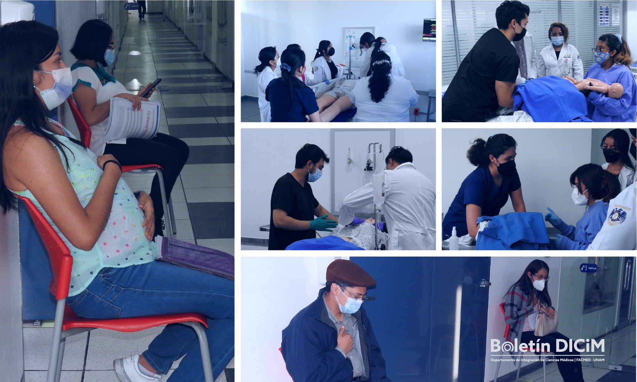 DICiM on Twitter: "Boletín DICiM Nº 23 | abril, 2022 Curriculum Híbrido: ICB – I e ICB – II ...