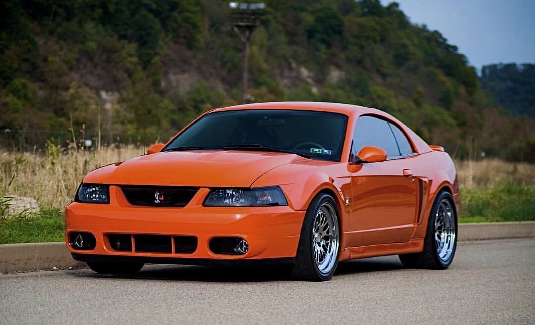 2022 Mustang Svt Terminator