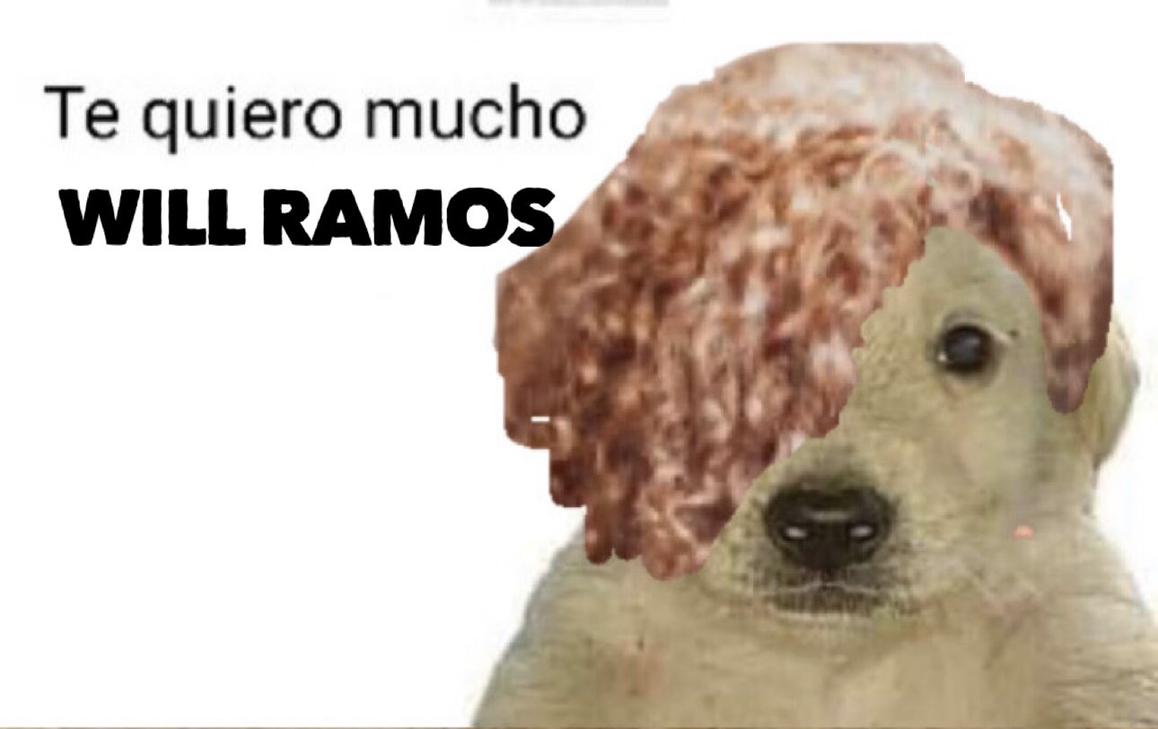 Danimal Lecter on Twitter: "@thewillramos https://t.co/PKKVrdQ1yz" / Twitter