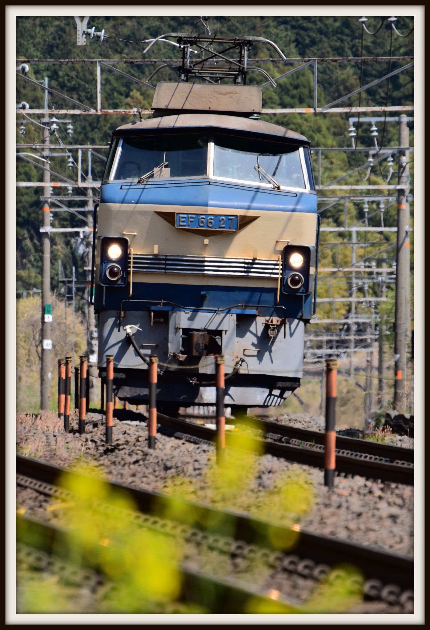 快速急行：Fuke on Twitter: "久しぶりに追っ掛けて撮った8865ﾚ。 EF66 27に春の色を添えて。 https://t.co/gt1Zf4dt77" / Twitter