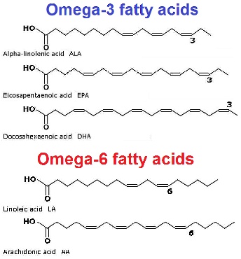 THE ESSENTIAL GUIDE TO ESSENTIAL FATTY ACIDS [EFAs] This one simple ...