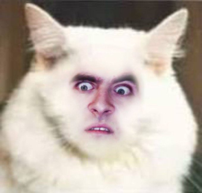 TW Pornstars - Anna Air. Pictures and videos from Twitter. Page 11