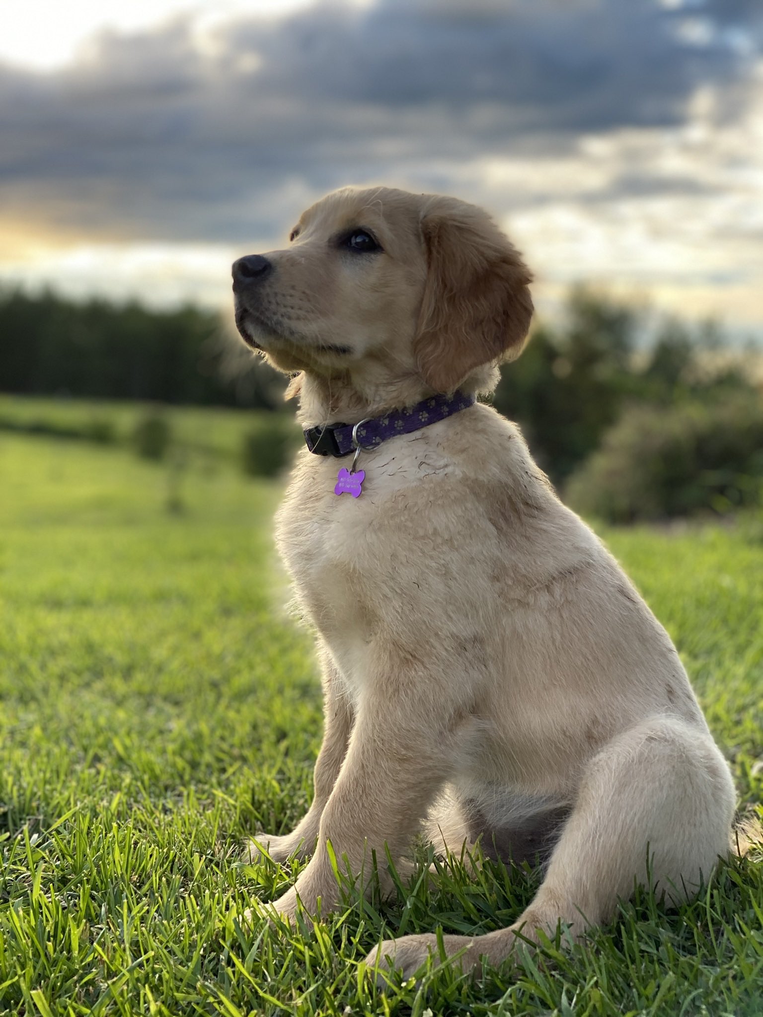 Bunsen and Beaker on Twitter: "Timeline cleanse ️ (Pass it on!) https://t.co/S9zSuA0t2D" / Twitter