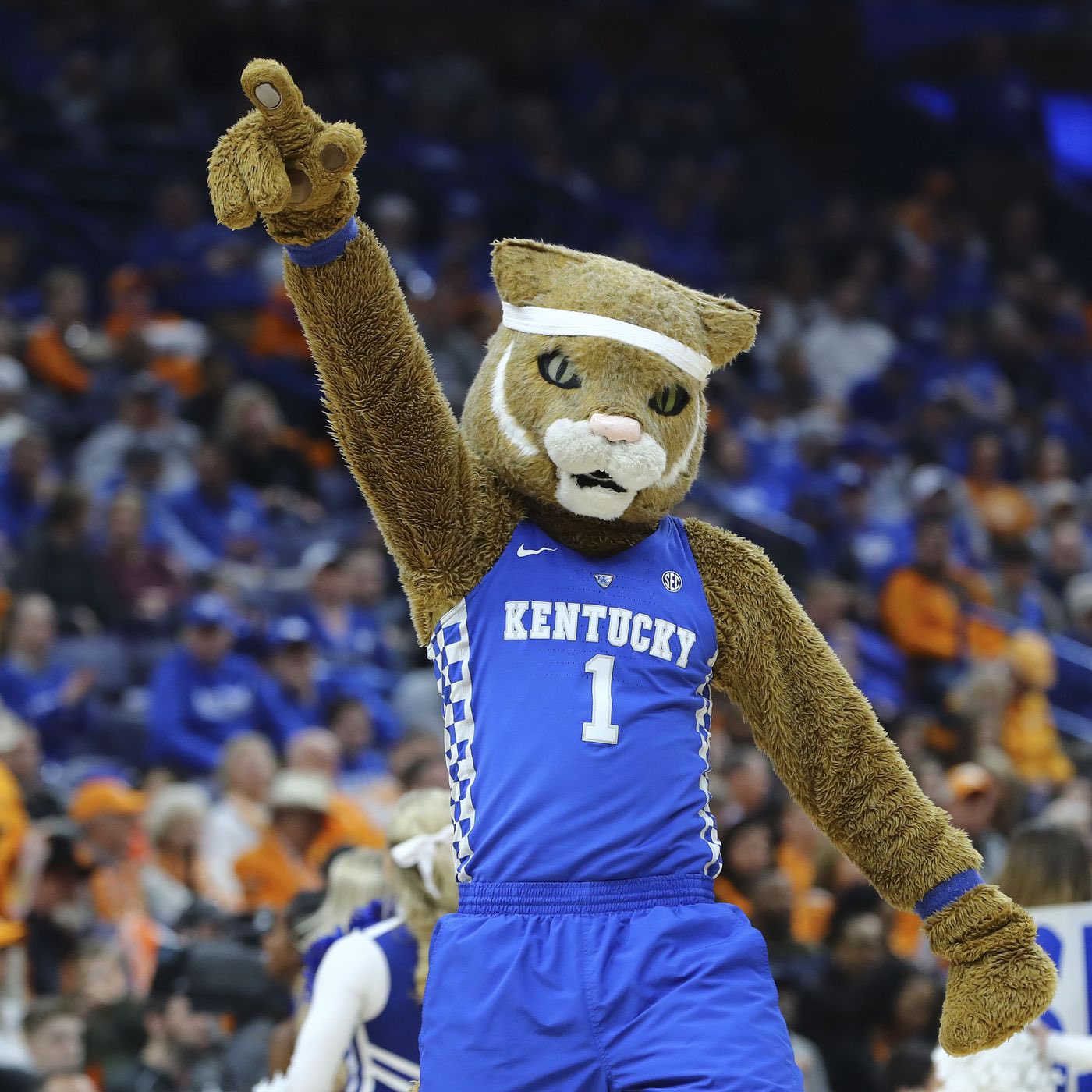 Kentucky Wildcats Mascot