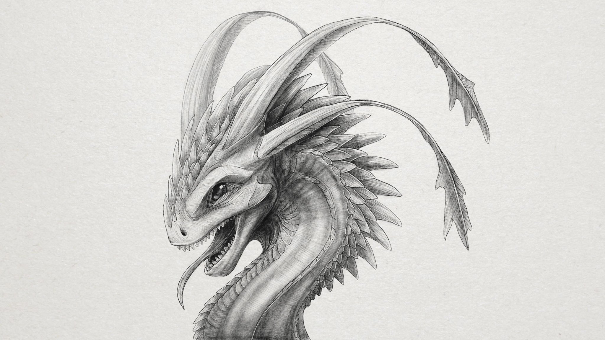 Awesome Dragon Face Drawings