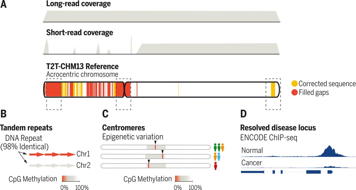 A fully sequenced human genome was announced over 20 years ago. However ...