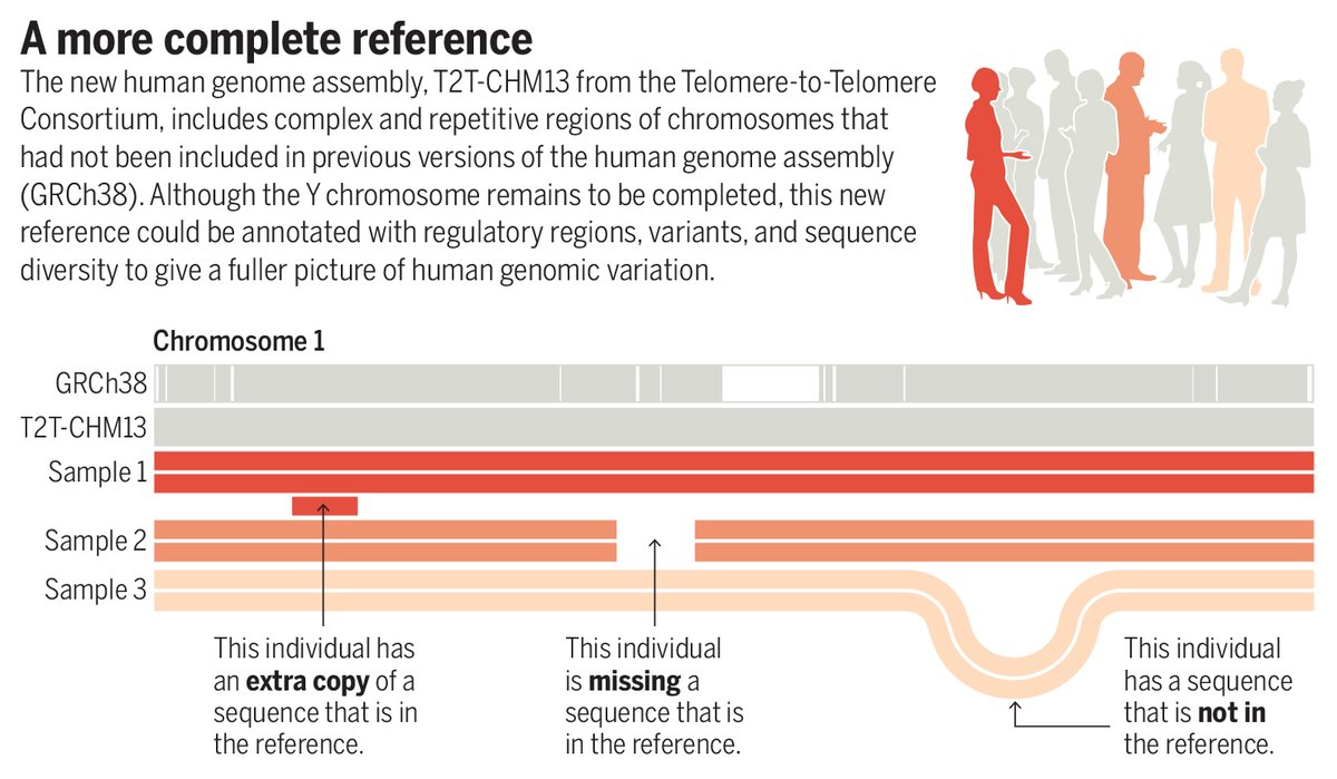 A fully sequenced human genome was announced over 20 years ago. However ...
