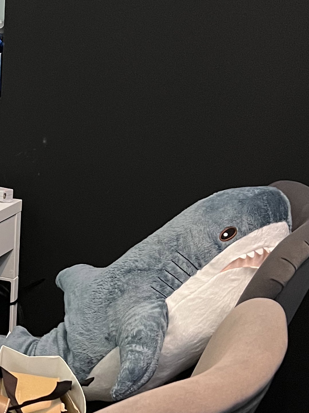 内田侑希/ Yuki Uchida on Twitter: "@nana617_919 @yui_k06 昨日の仕事終わりのサメさん🦈笑 動いてますね…😳 https://t.co ...