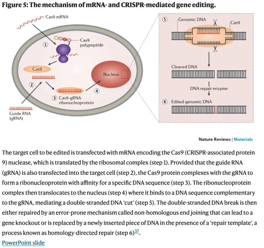 - Thread from Very 0wn @Very_0wn - Rattibha