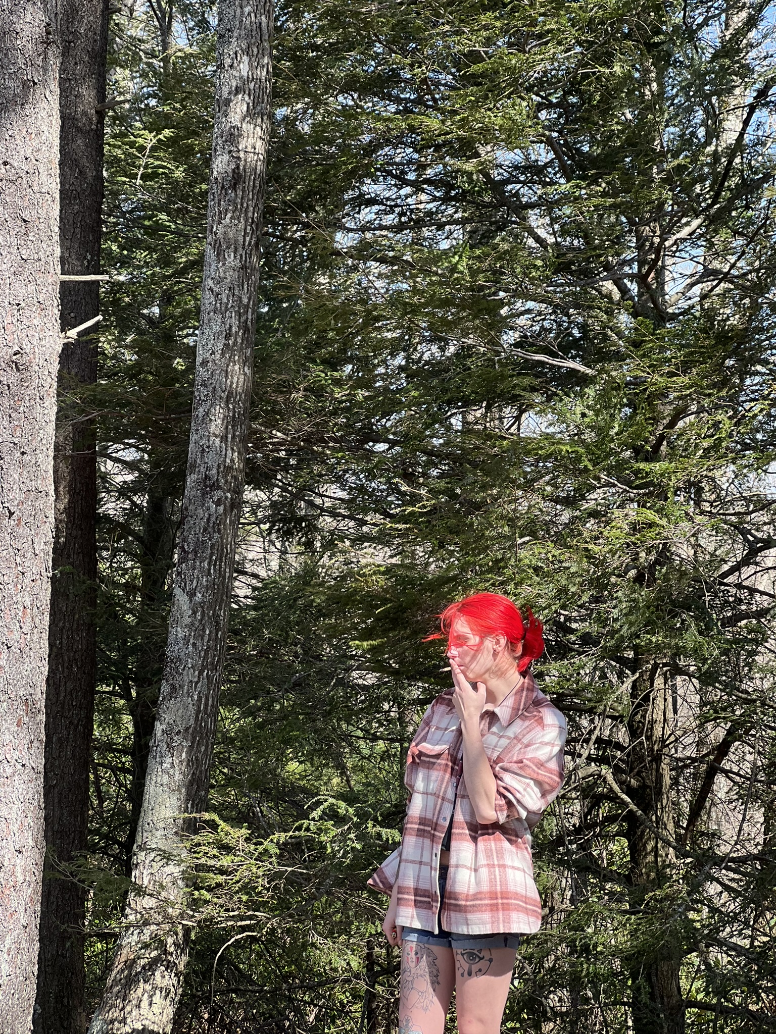 Tw Pornstars 2 Pic Celeste Twitter Me In My Natural State 🌲🌲 I