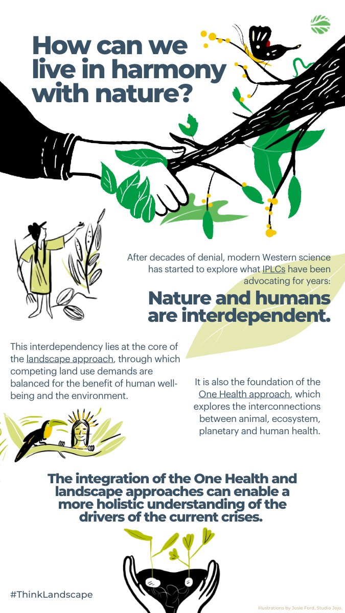 Harmony In Nature Poster