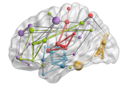 Brain Network Visualization