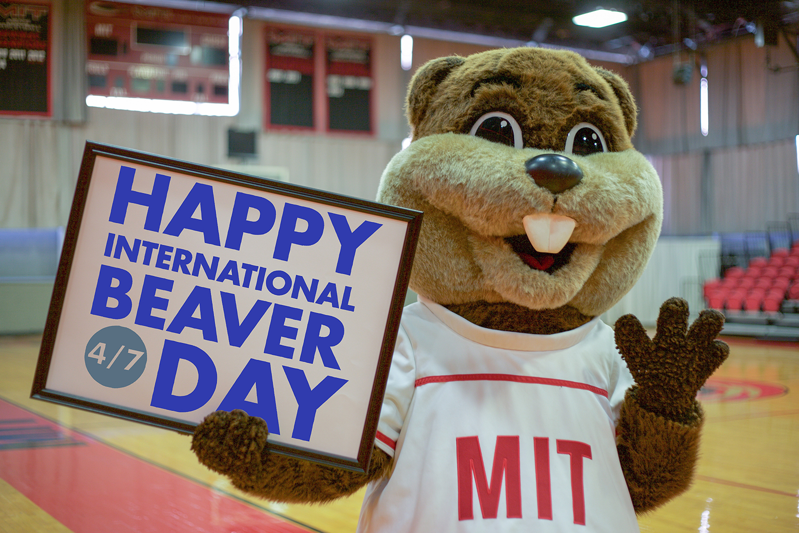 Mit Mascot