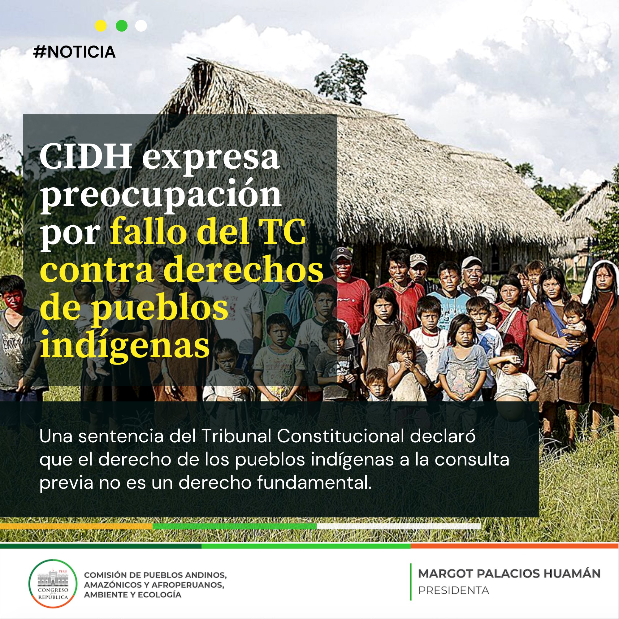 Comisión Pueblos 🌱 On Twitter 🚨la Comisión Interamericana De Derechos