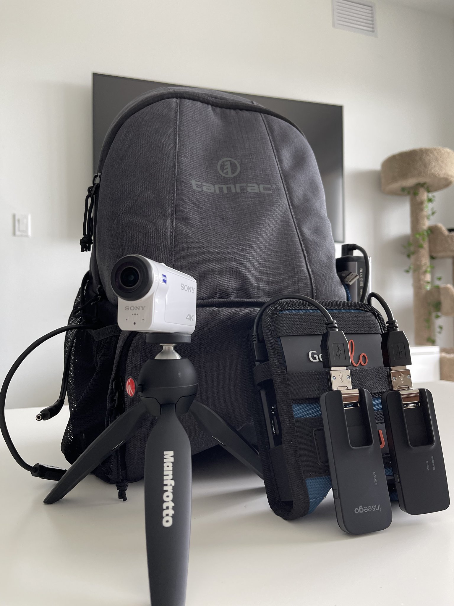 TW Pornstars - Littlelianna. Twitter. can't wait to have your name on ...