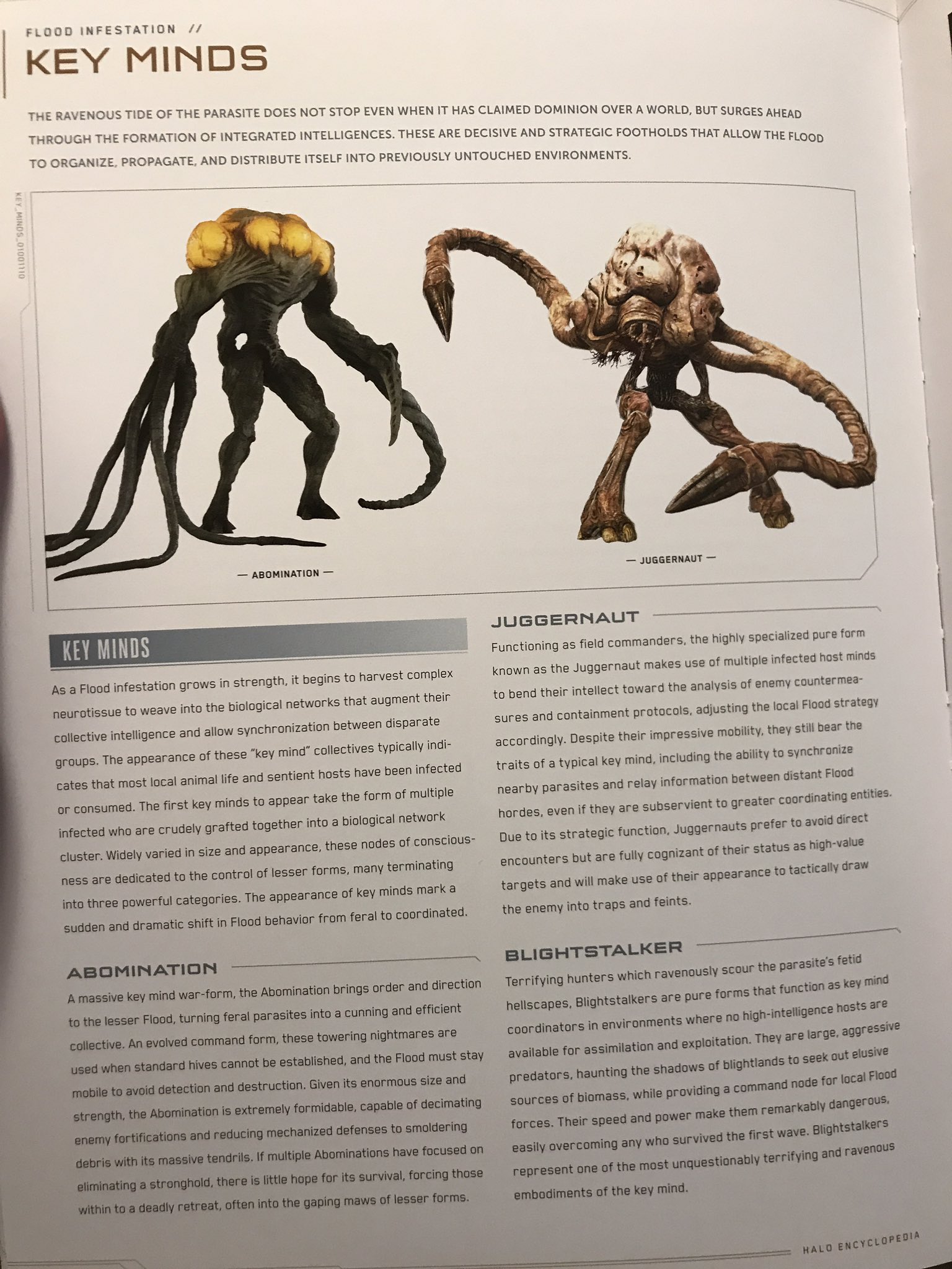 Halo Flood Juggernaut