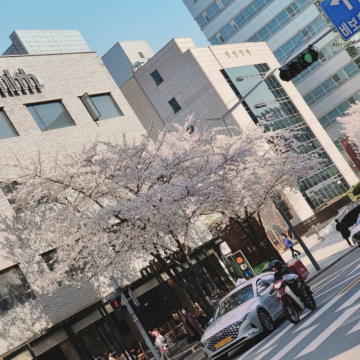 날씨 너어어어무 좋아😘 즐거워지는 기분이야👍 이 날씨가 쭉 갔음 좋겠당 #벚꽃 #동네꽃구경🌸 #발기차게 #꽃같은인생 #내톡 ...