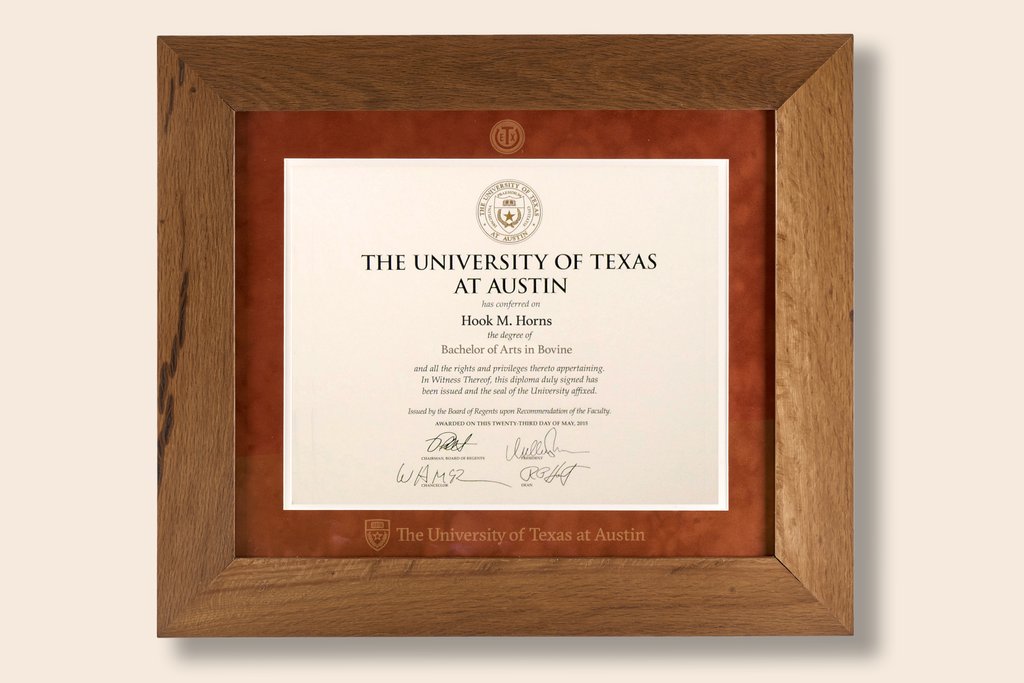 Ut Austin Diploma Frames UT Southwestern Medical Center (UTSW) (TX)