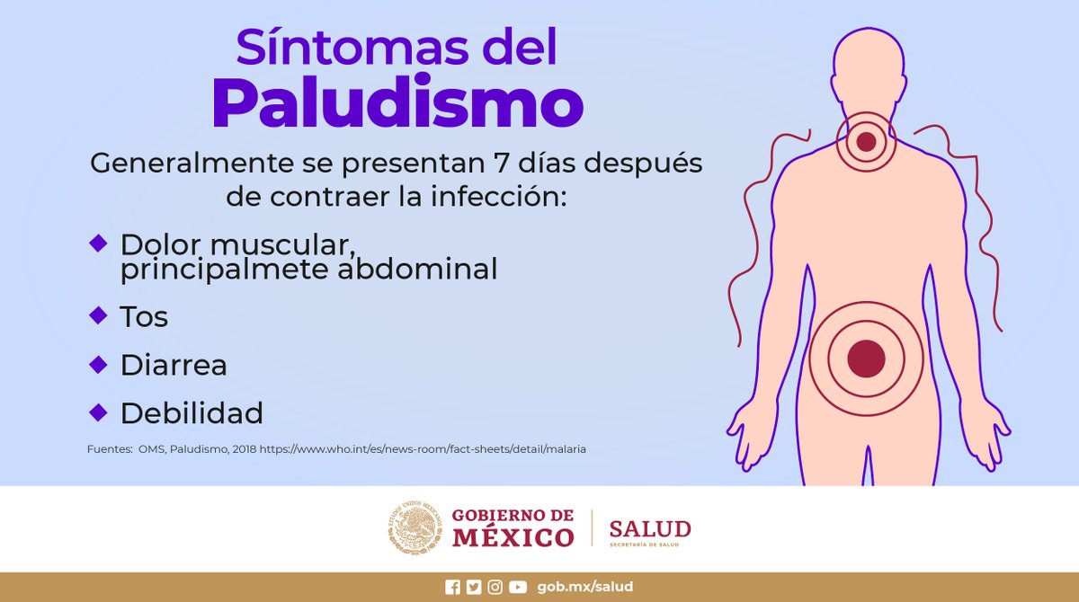 Hospital Juárez De México On Twitter El Paludismo O Malaria Es Una